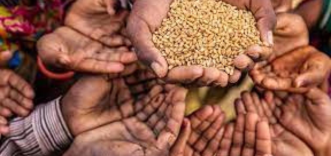 Pope to all nations: Work to eradicate the scourge of hunger | Abouna