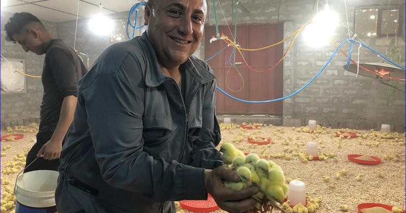 Iraqi Assyrians, chicken farmers rebuild their lives in Nineveh Plain ...