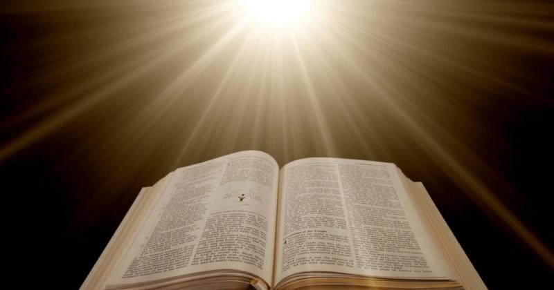 Pope at Audience: The Bible, the place where God meets man | Abouna