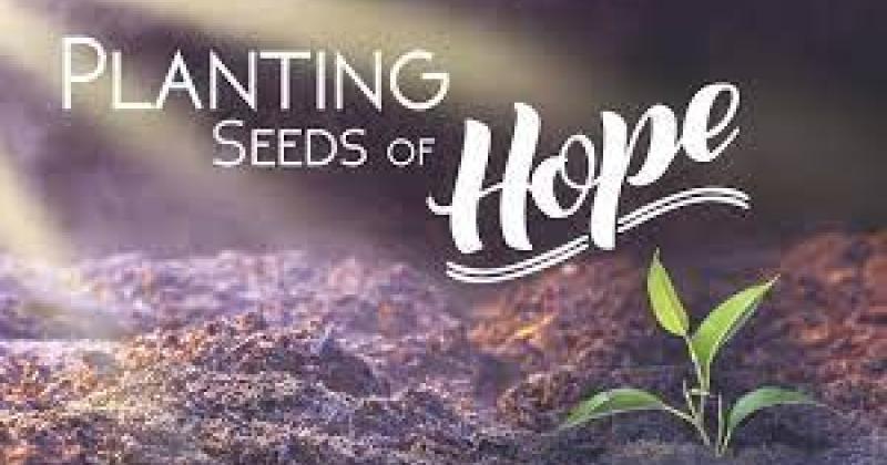 Pope: Charities sow seeds of hope in DRC and across African continent ...