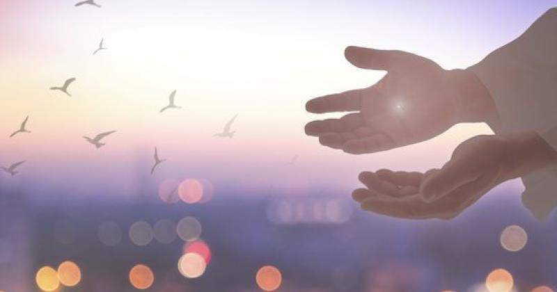 Pope: 'May weapons fall silent, situation in Gaza is desperate' | Abouna