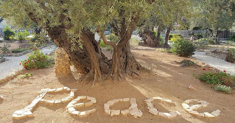 Newly elevated Cardinal Dominique Mathieu in Iran discusses peace amid ...
